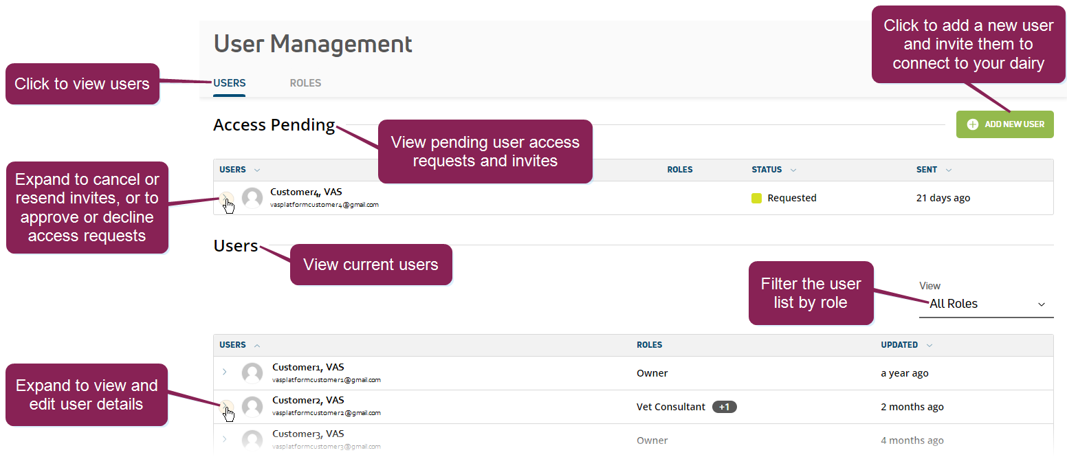 Manage Company Users and Roles